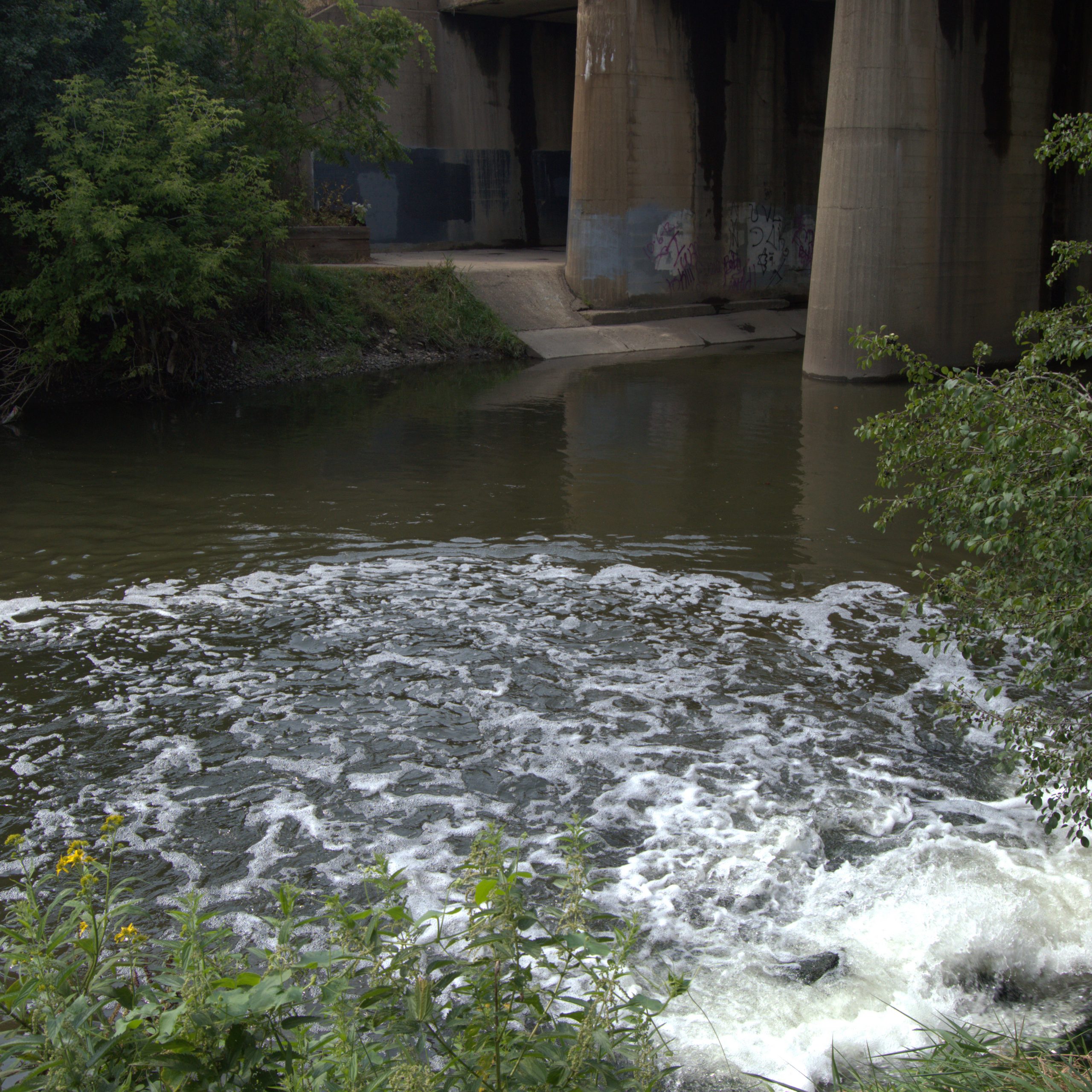 DuPage County Needs Your Help Developing Water Quality Plan for East ...